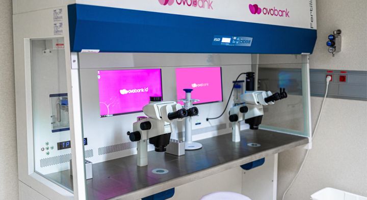 What is double donation in IVF? - OVOBANK ID